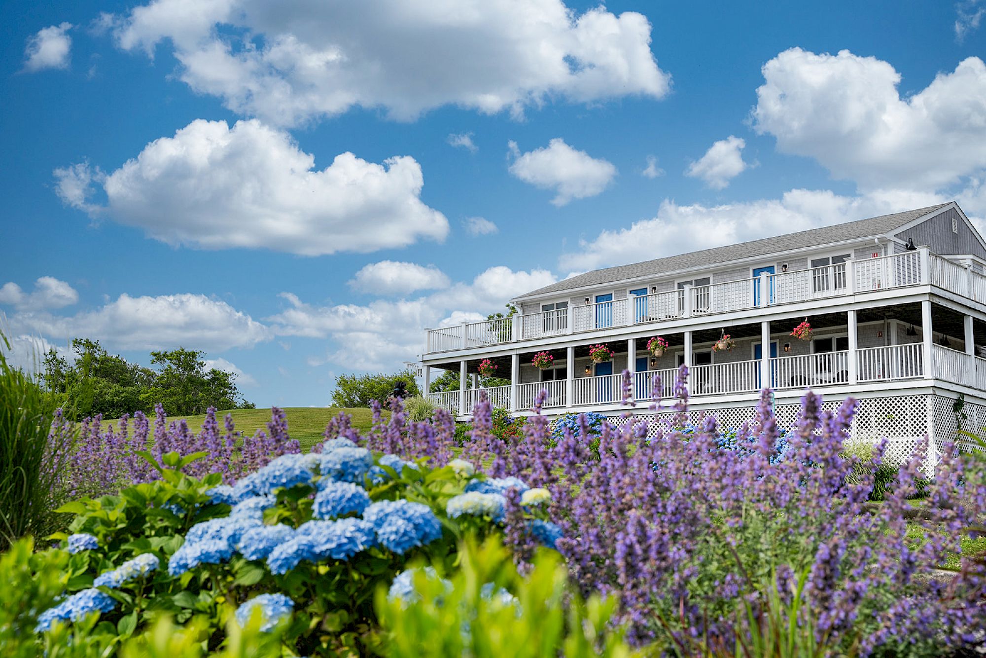 Photos - Champlin's Resort & Marina